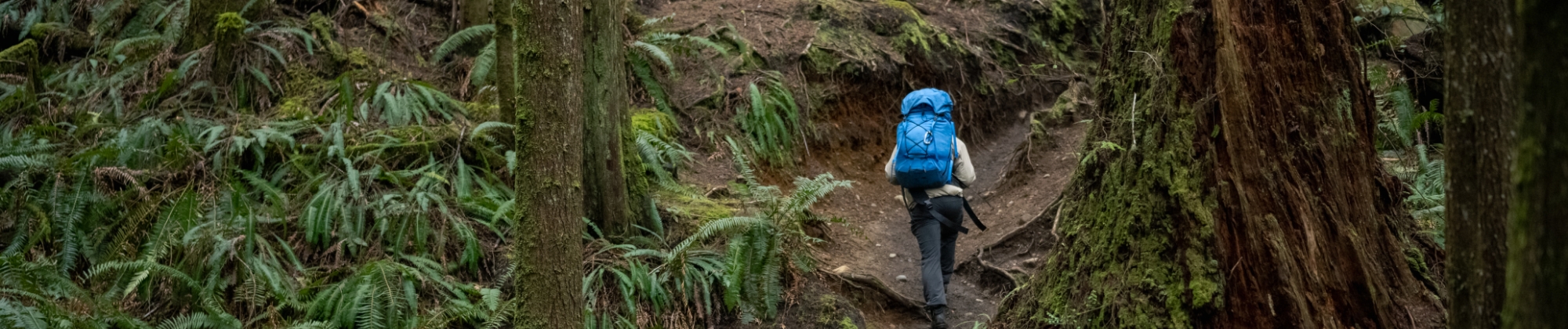 Packs | Arc'teryx